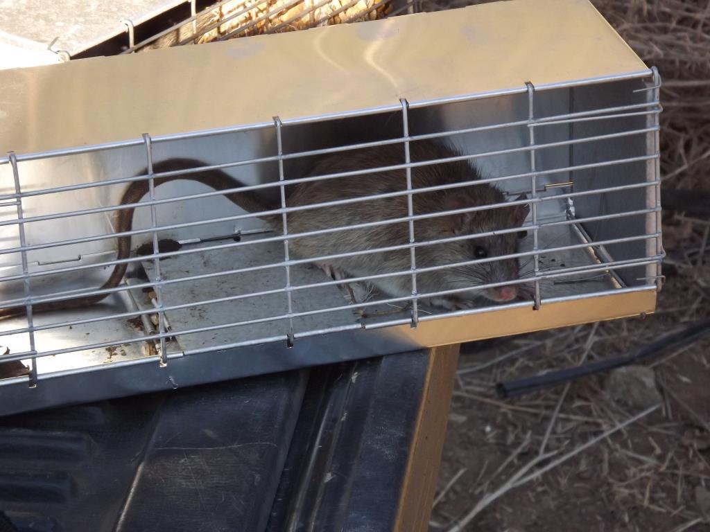 Galería de Fotos | ERA sustentable